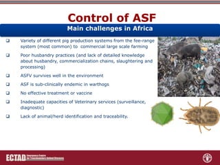 Role of FAO-ECTAD in transboundary disease surveillance and control ...