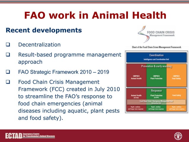 Role of FAO-ECTAD in transboundary disease surveillance and control ...