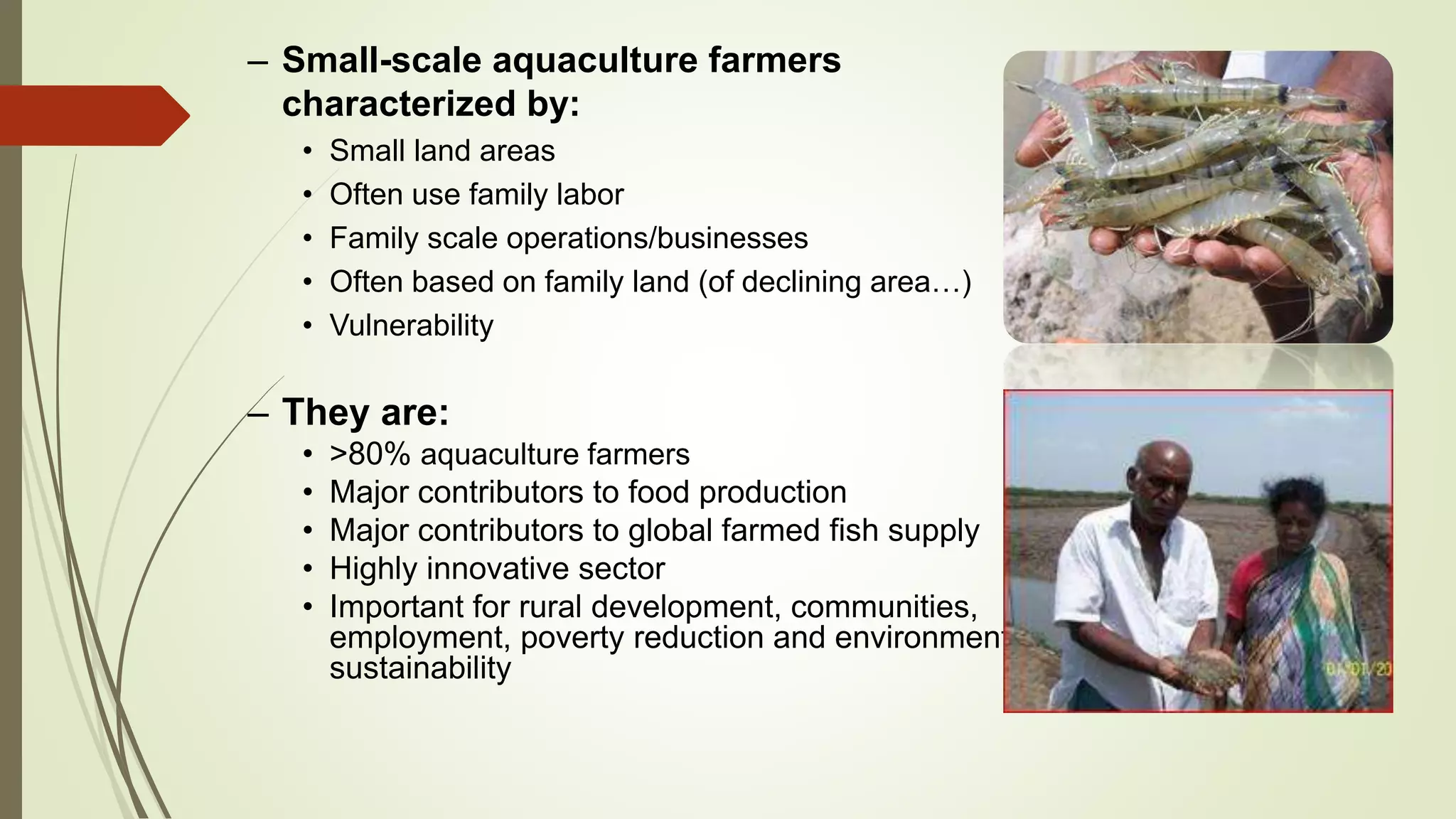 Role of farmer producer organization (fpo) | PPTX