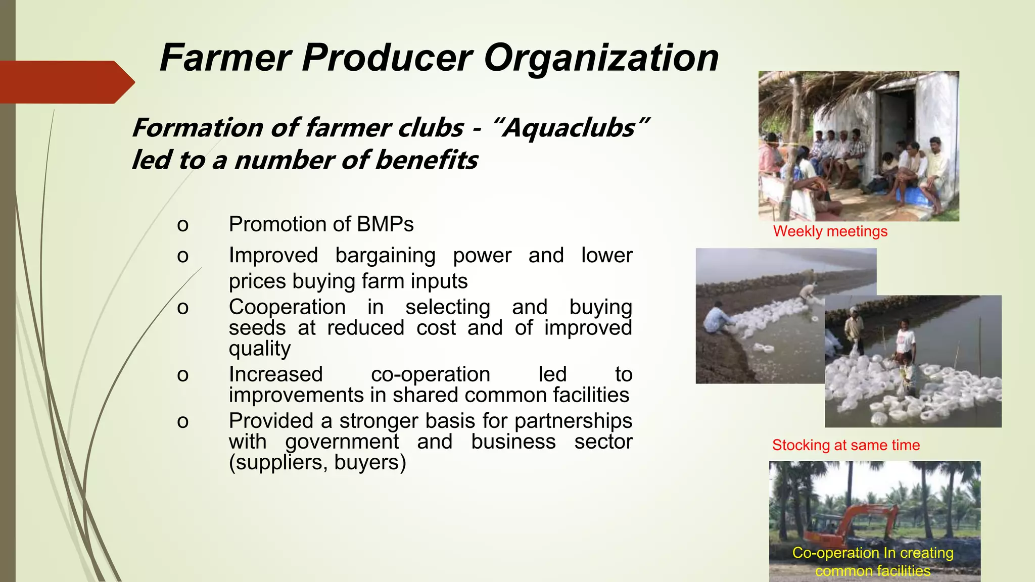 Role of farmer producer organization (fpo) | PPTX