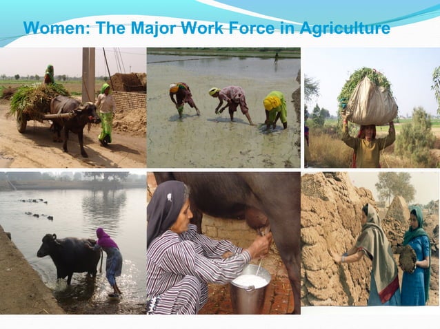 Role of farm women in indian agriculture | PPT