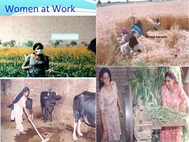 Role of farm women in indian agriculture | PPT