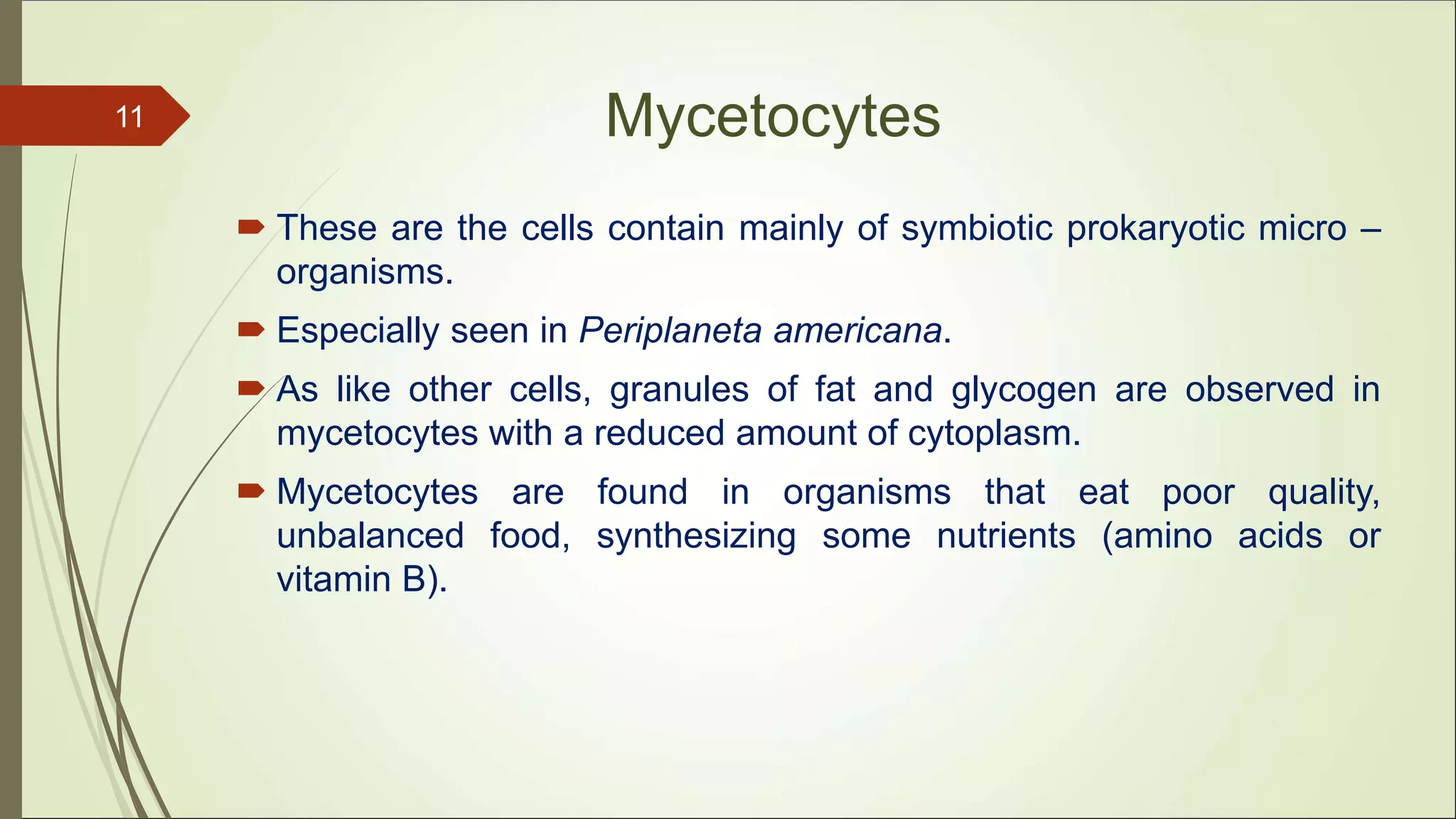 Role of fat body in insect metabolism.ppt