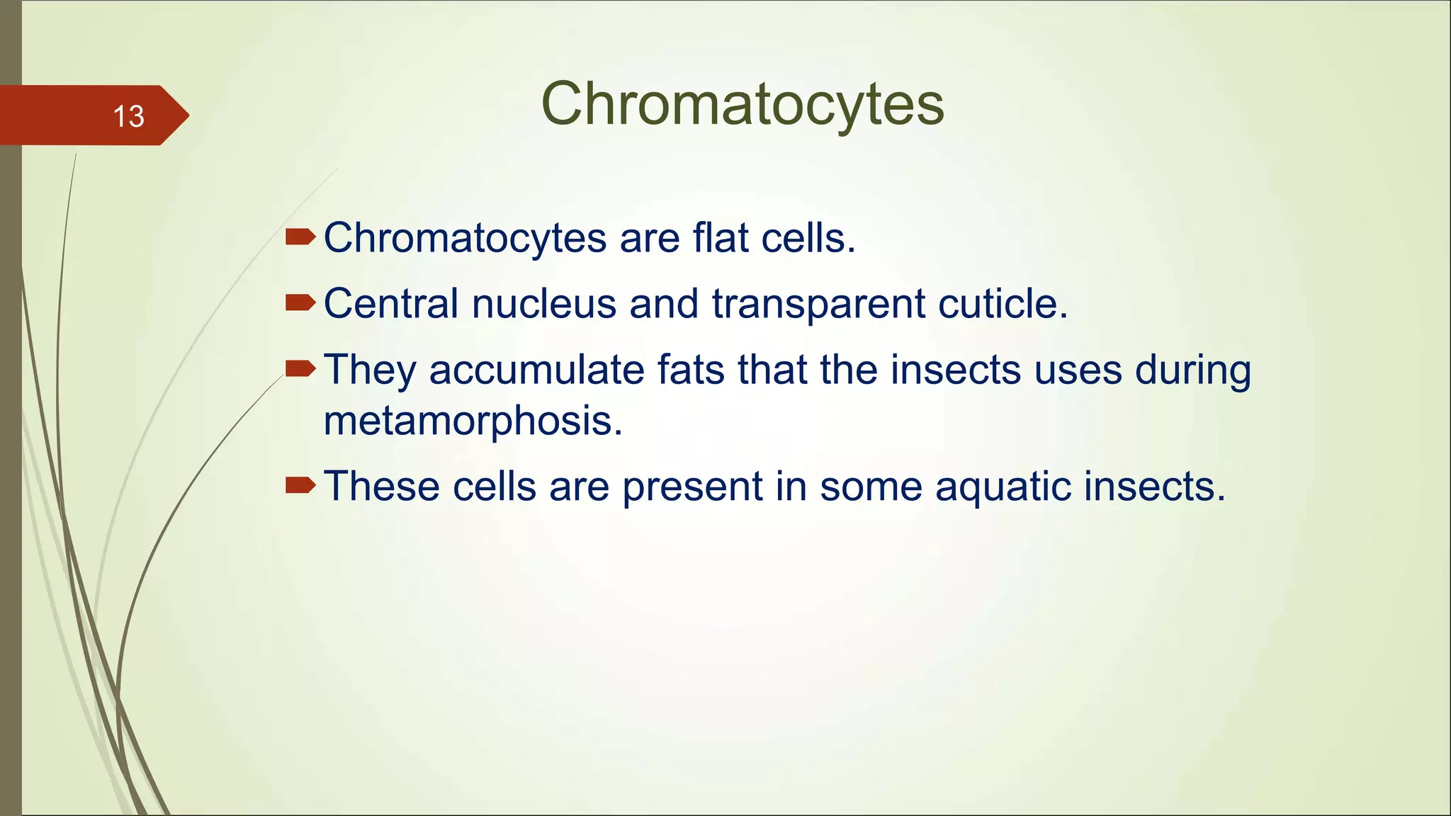 Role of fat body in insect metabolism.ppt