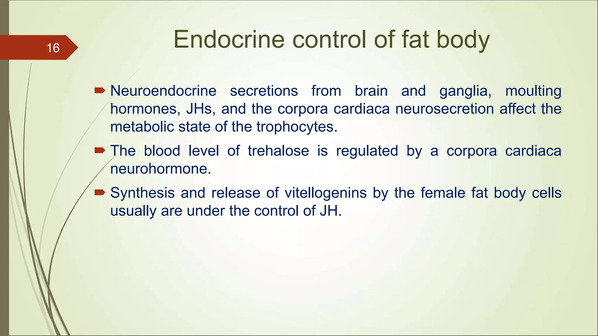 Role of fat body in insect metabolism.ppt