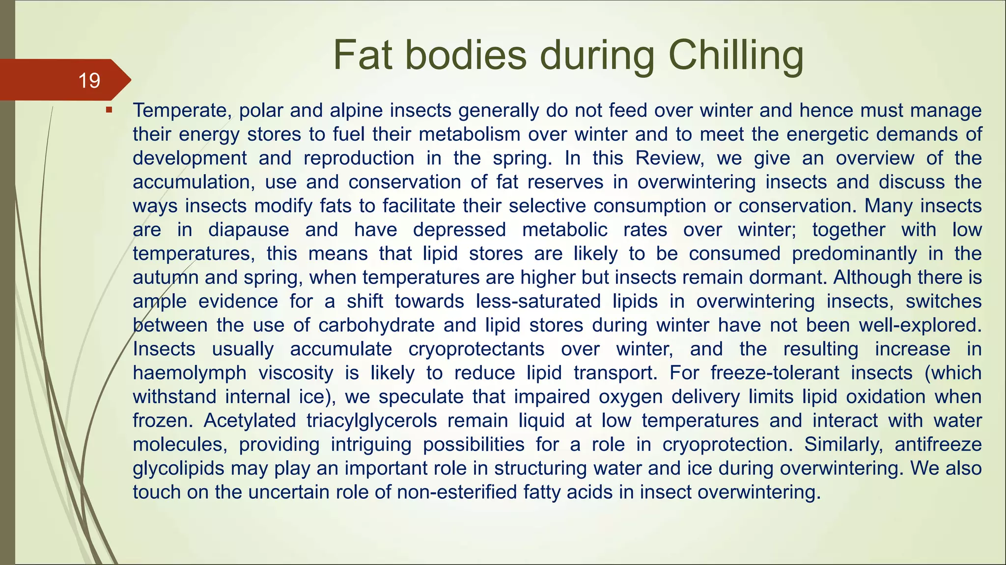 Role of fat body in insect metabolism.ppt