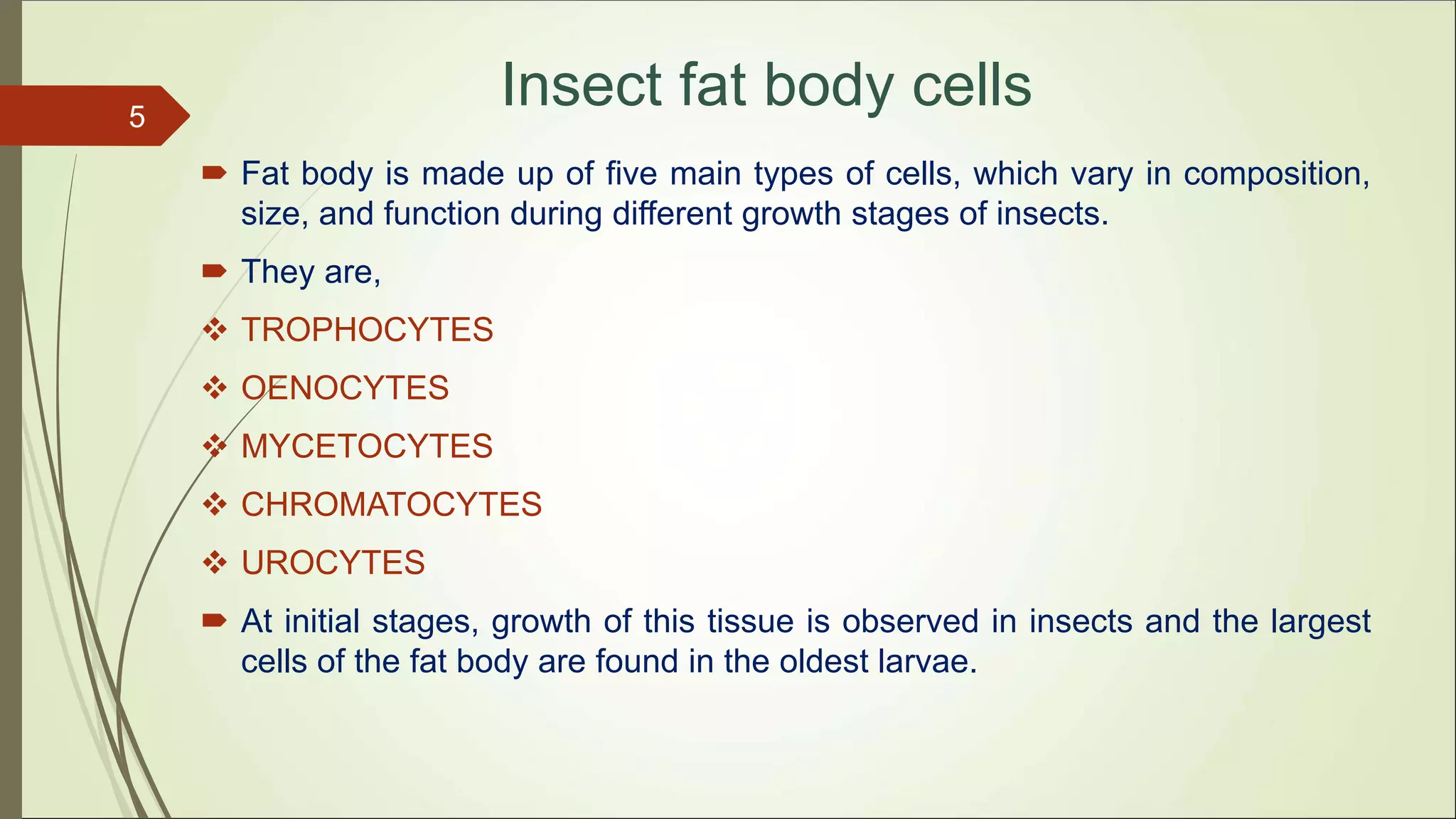 Role of fat body in insect metabolism.ppt