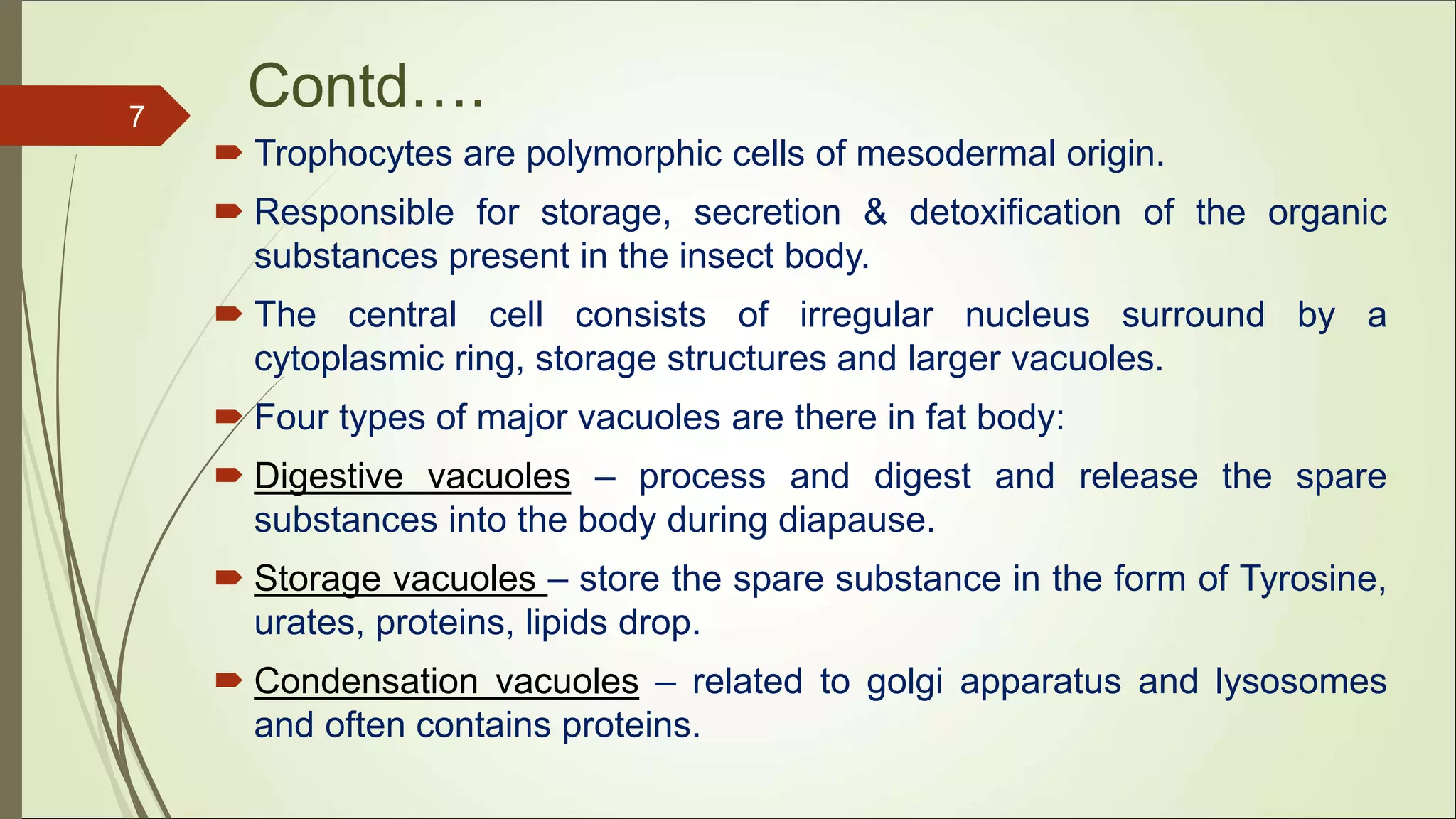 Role of fat body in insect metabolism.ppt