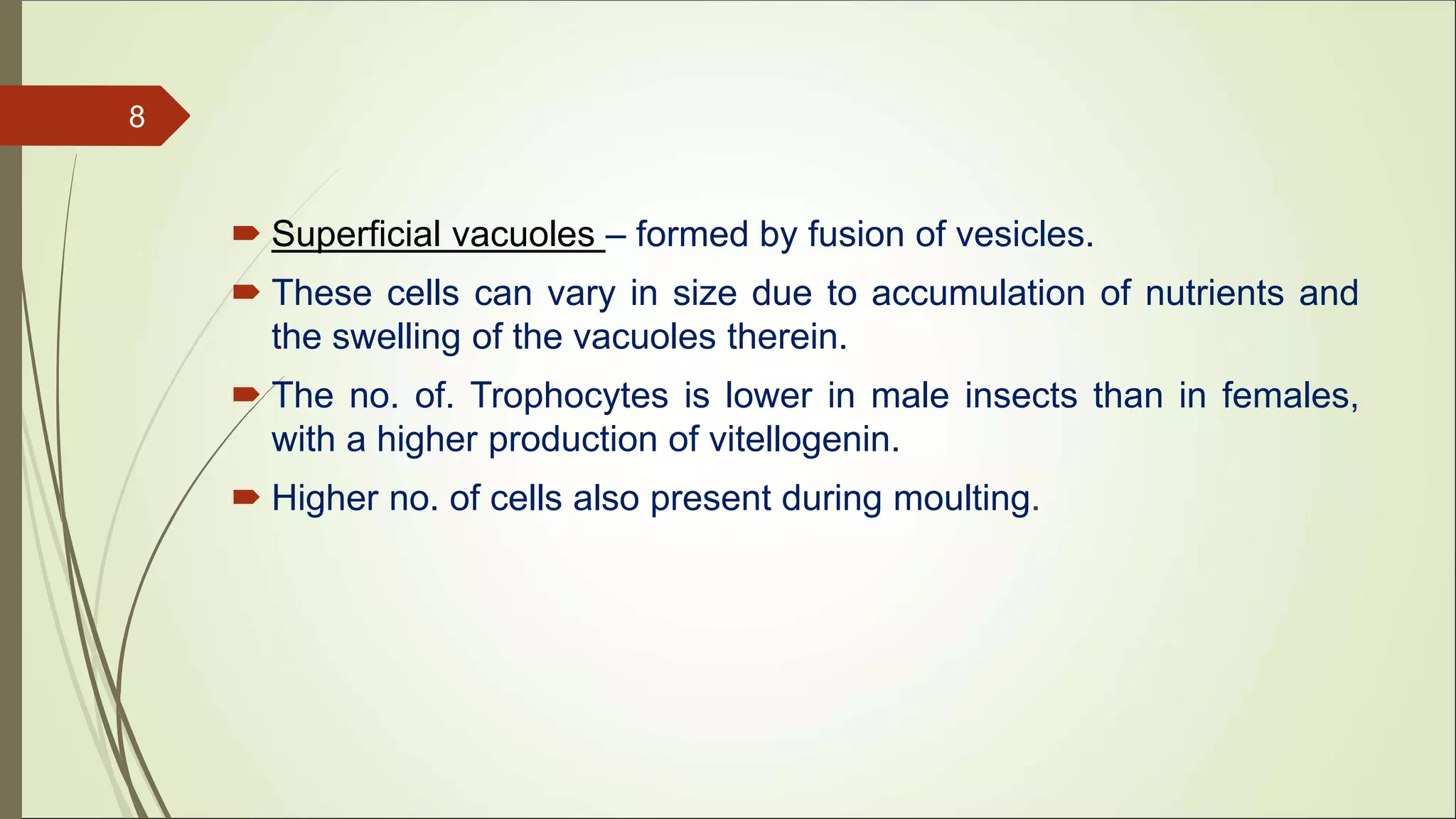 Role of fat body in insect metabolism.ppt
