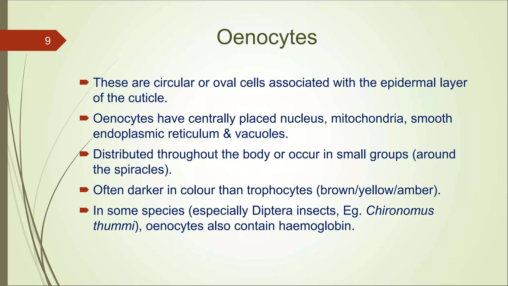 Role of fat body in insect metabolism.ppt
