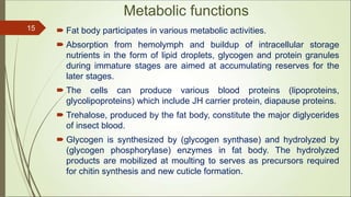 Role of fat body in insect metabolism.ppt