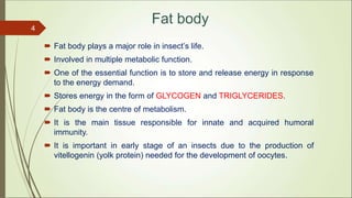 Role of fat body in insect metabolism.ppt