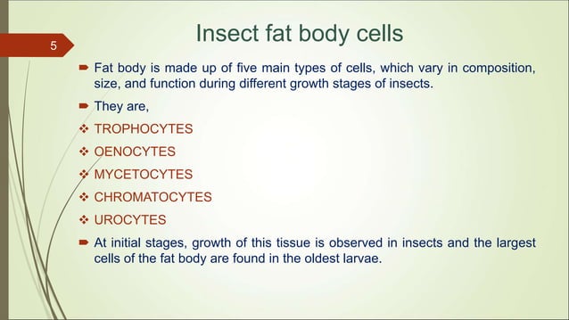 Role of fat body in insect metabolism.ppt