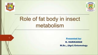 Role of fat body in insect metabolism.ppt