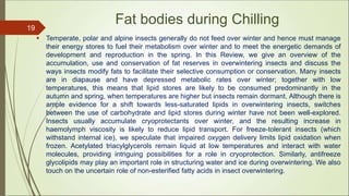 Role of fat body in insect metabolism.ppt