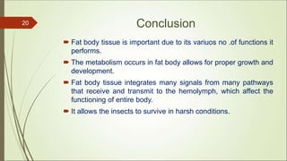 Role of fat body in insect metabolism.ppt