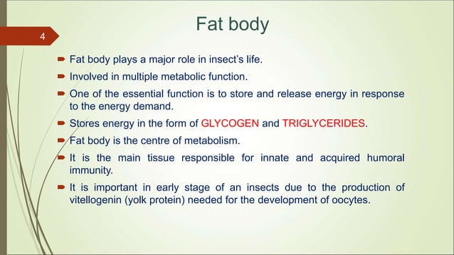 Role of fat body in insect metabolism.ppt