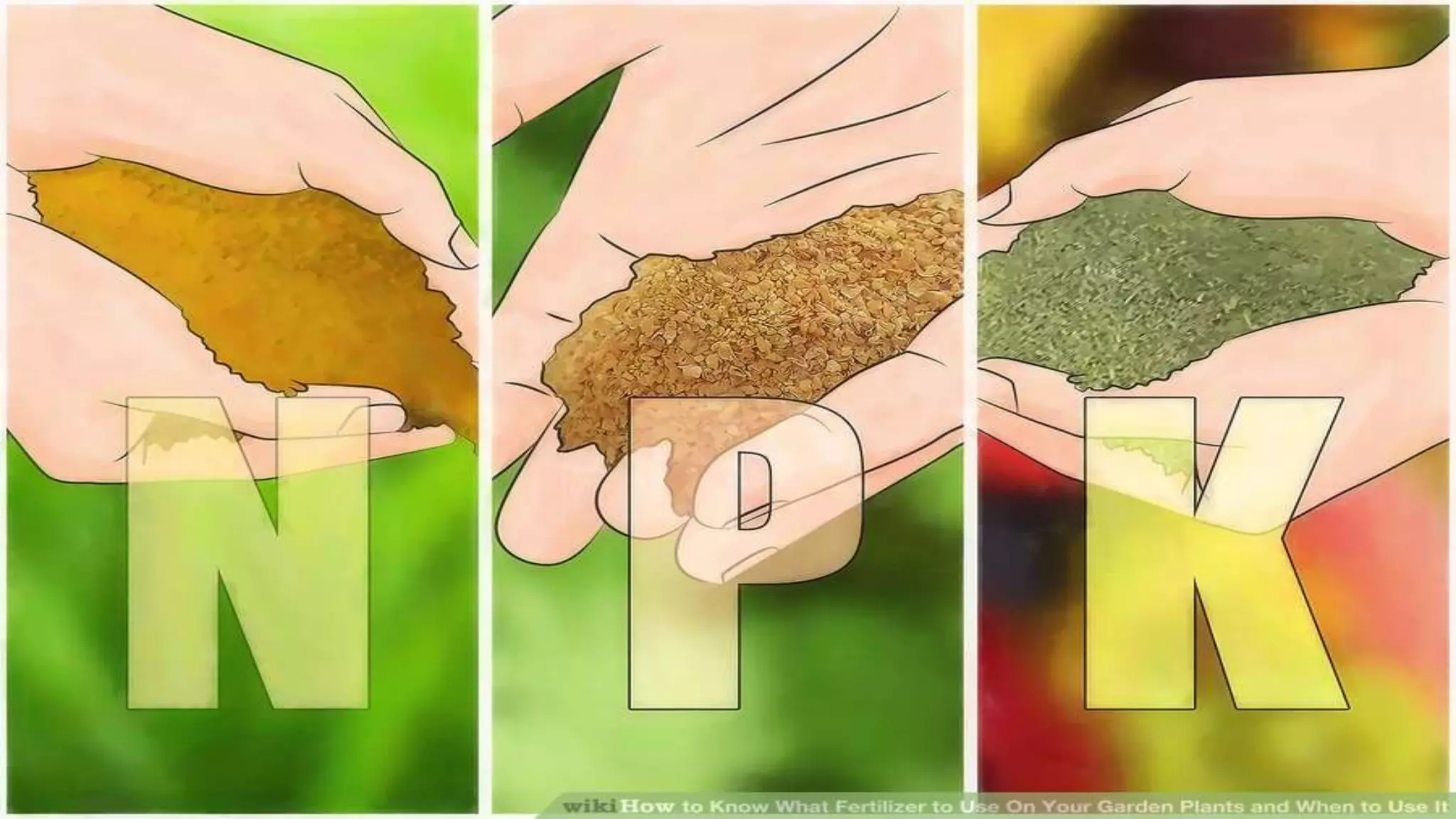 Role of fertilizer green manuring in conservation agronomy | PPT