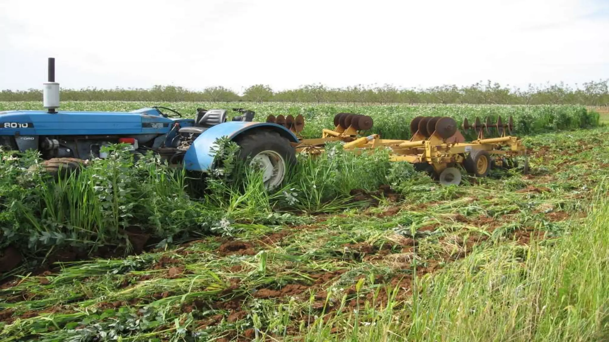 Role of fertilizer green manuring in conservation agronomy | PPT