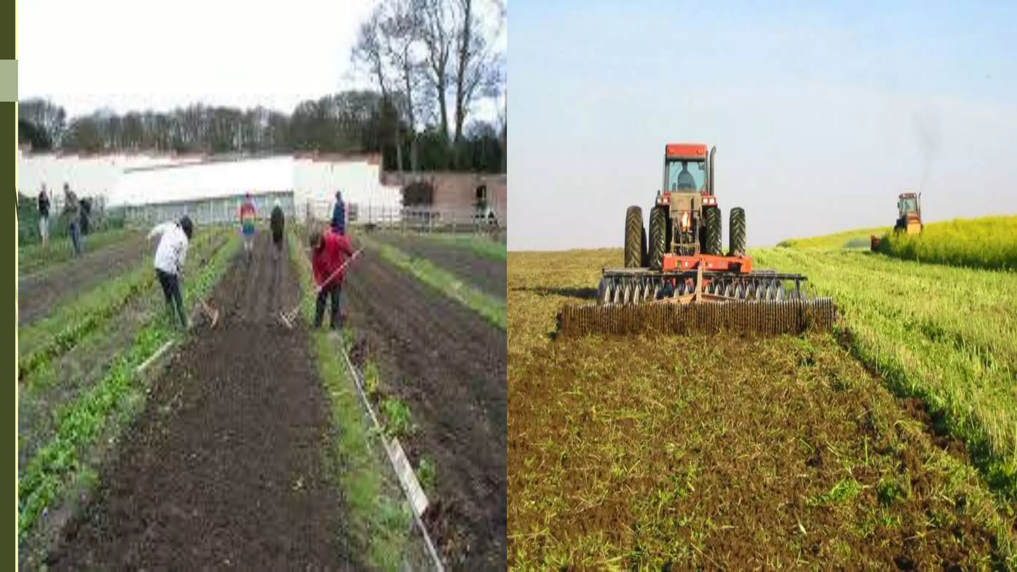 Role of fertilizer green manuring in conservation agronomy | PPT