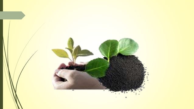 Role of fertilizer green manuring in conservation agronomy | PPT