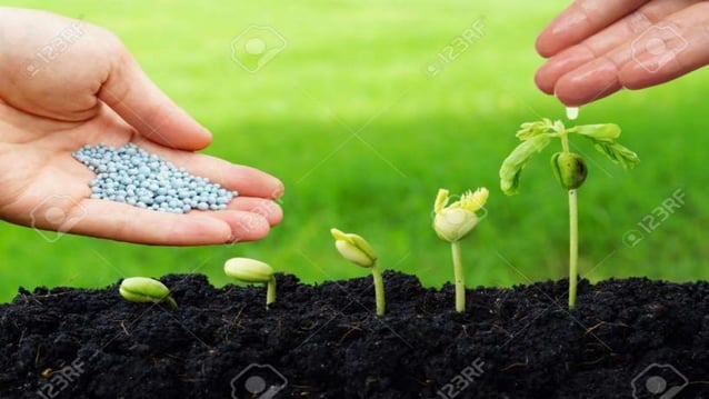 Role of fertilizer green manuring in conservation agronomy | PPT