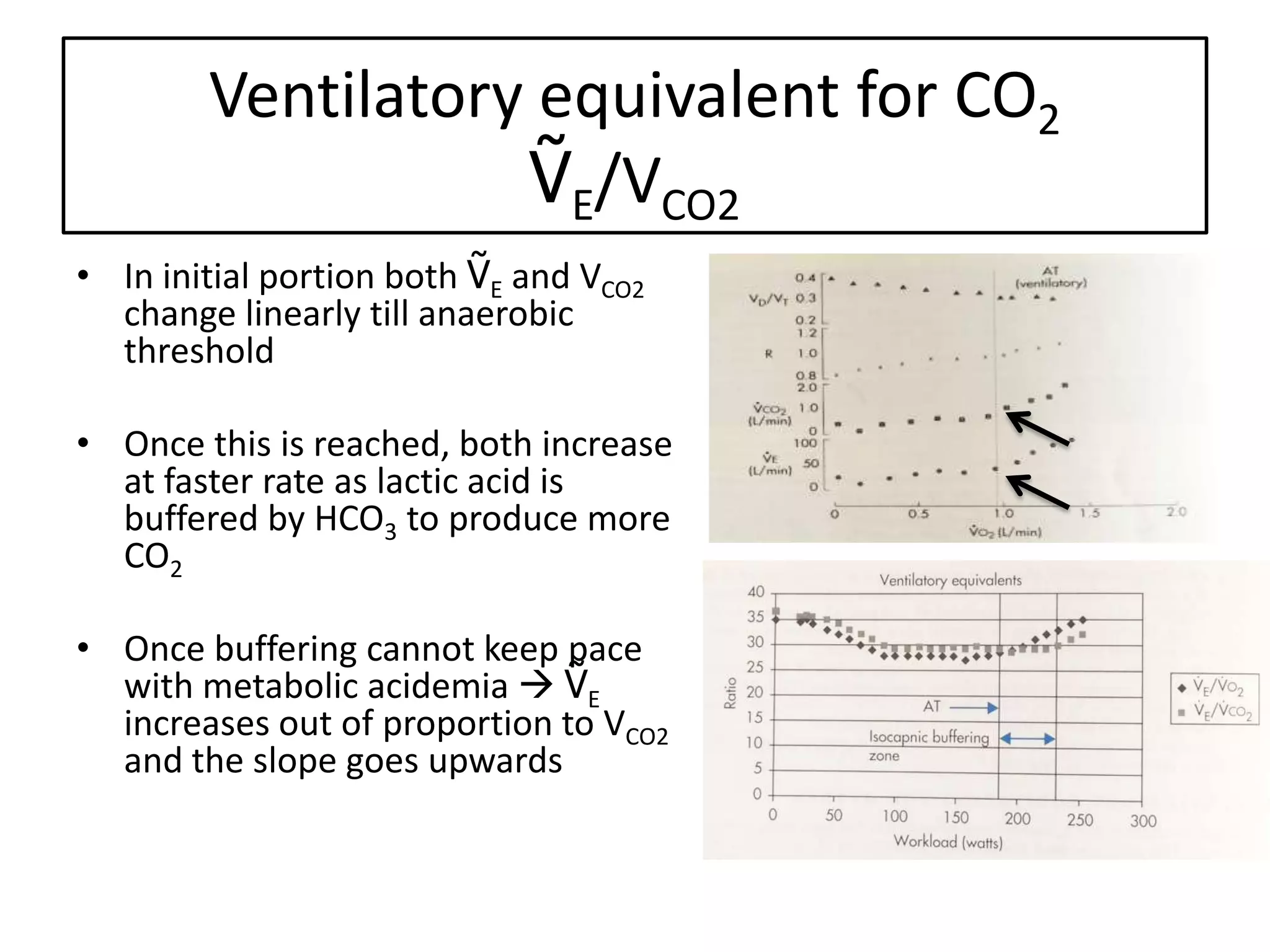 Role of flow volume loops in cpet | PPTX