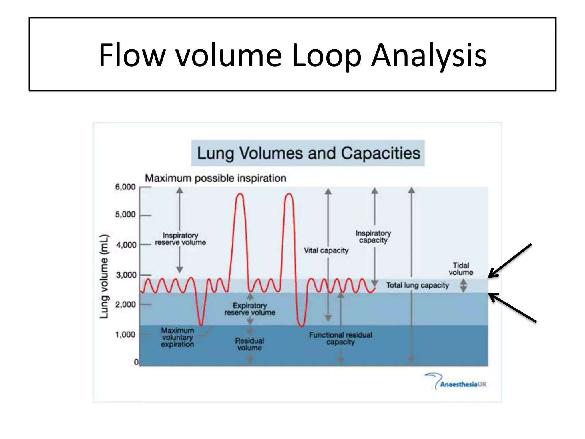 Role of flow volume loops in cpet | PPTX | Lung and Respiratory Health ...