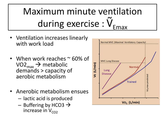 Role of flow volume loops in cpet | PPTX | Lung and Respiratory Health ...