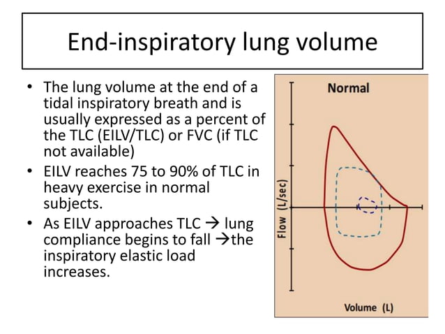 Role of flow volume loops in cpet | PPTX | Lung and Respiratory Health ...