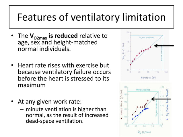 Role of flow volume loops in cpet | PPTX | Lung and Respiratory Health ...
