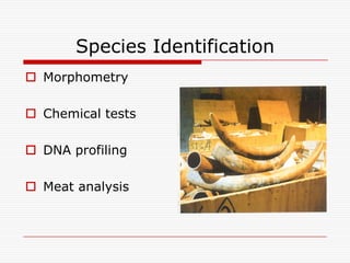 Role of forensics in wildlife | PDF