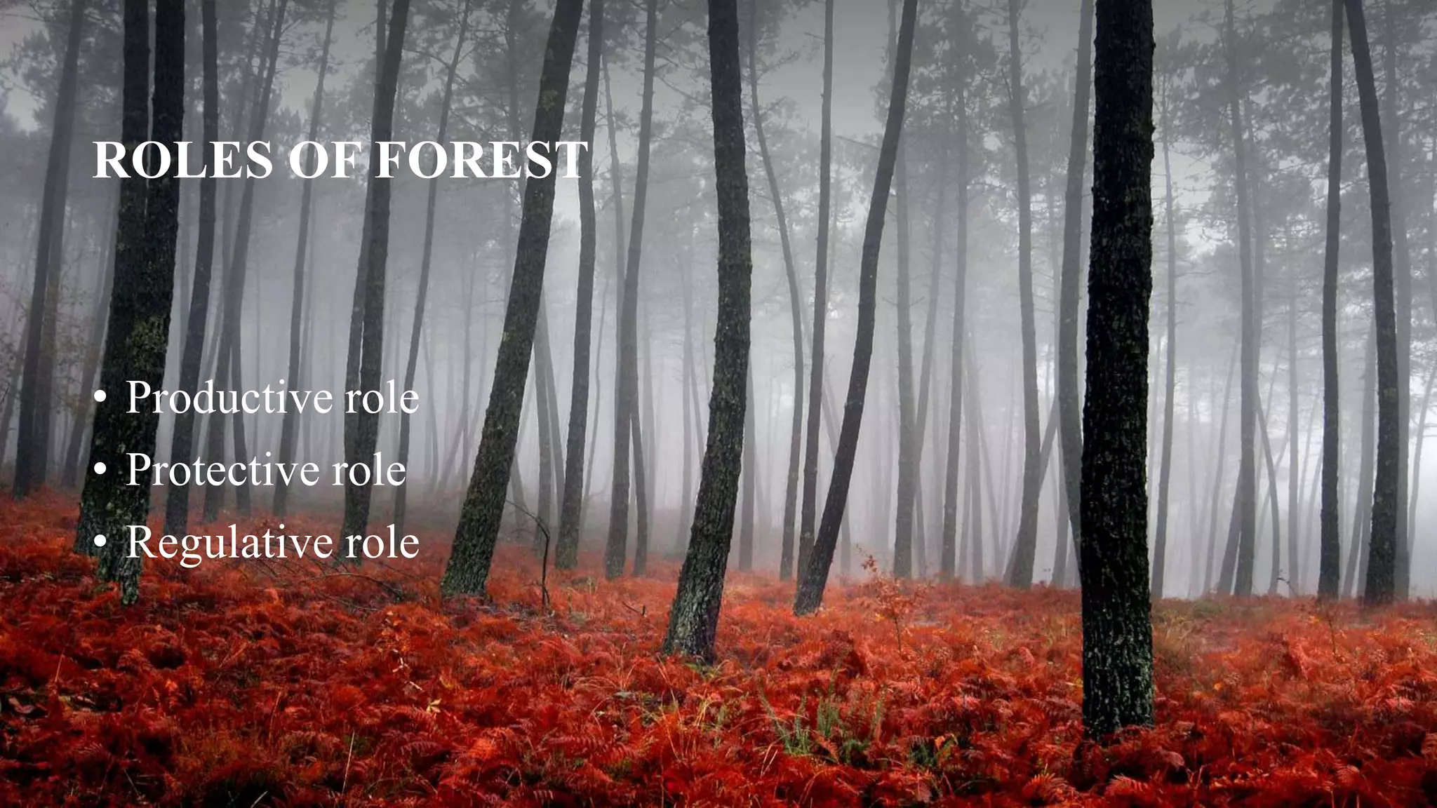 Role of forest | PPTX