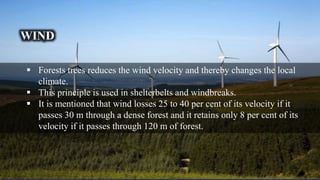 Role of forest | PPTX