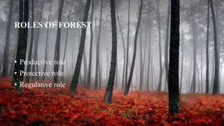 Role of forest | PPTX