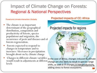 Role of Forestry in Climate Change | PDF