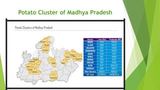 Role of FPO in diversification of crops | PPTX