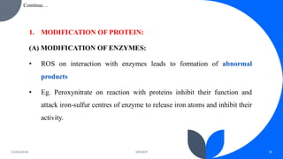 Role of Free Radicals in Etiopathology of Diabetes and ...