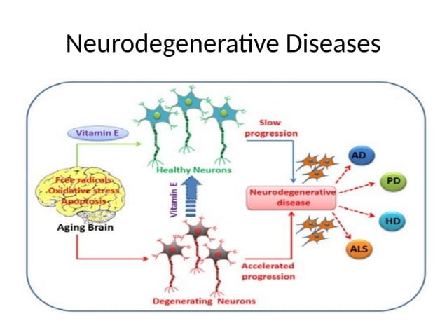 ROLE OF FREE RADICALS IN NEURODEGENERATIVE DISEASES ppt (2) (1).pptx | Brain and Nervous System ...