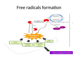 ROLE OF FREE RADICALS IN NEURODEGENERATIVE DISEASES ppt (2) (1).pptx | Brain and Nervous System ...