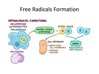ROLE OF FREE RADICALS IN NEURODEGENERATIVE DISEASES ppt (2) (2).pptx
