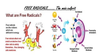 Role of free radicals in renal failure | PDF