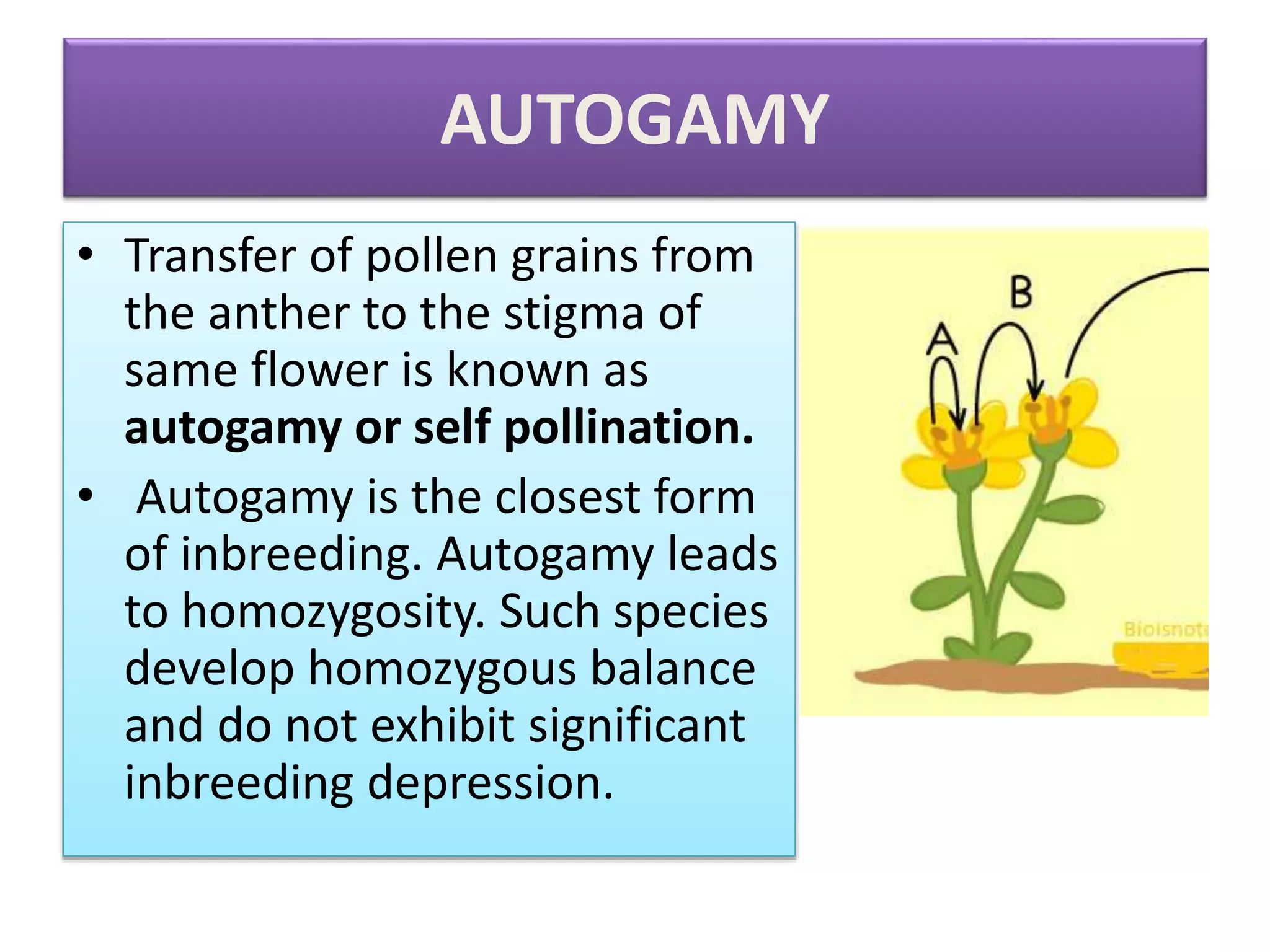Role of fruit crop and pollination mechanism | PPTX