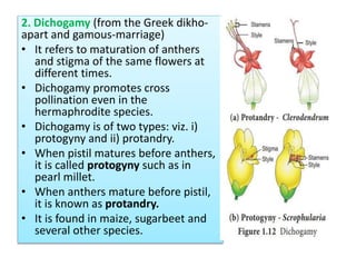 Role of fruit crop and pollination mechanism | PPTX