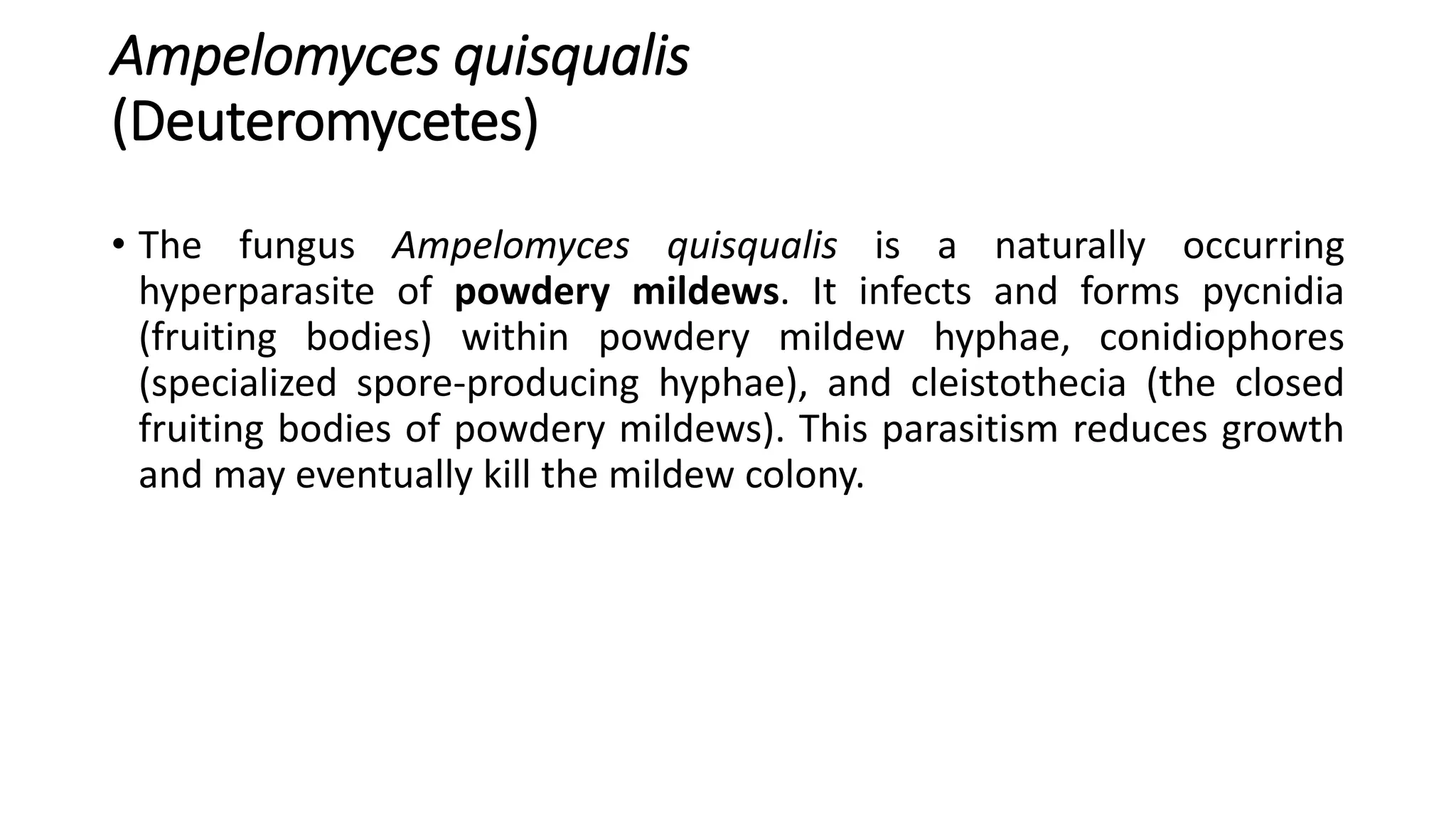 Role of fungi as biocontrol agents | PPTX