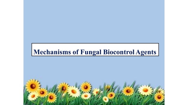 Role of fungi as biocontrol agents | PPTX
