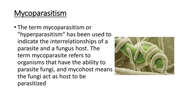 Role of fungi as biocontrol agents | PPTX