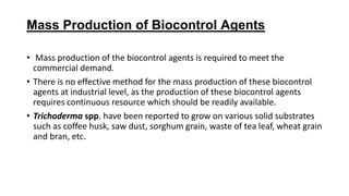 Role of fungi as biocontrol agents | PPTX