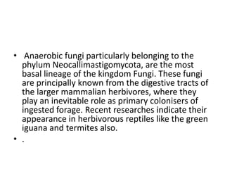 Role of fungi in biomethanation process | PPTX
