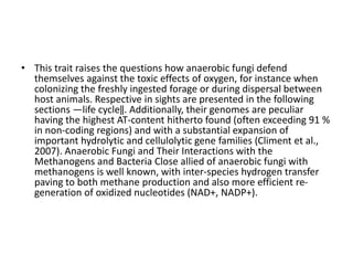 Role of fungi in biomethanation process | PPTX